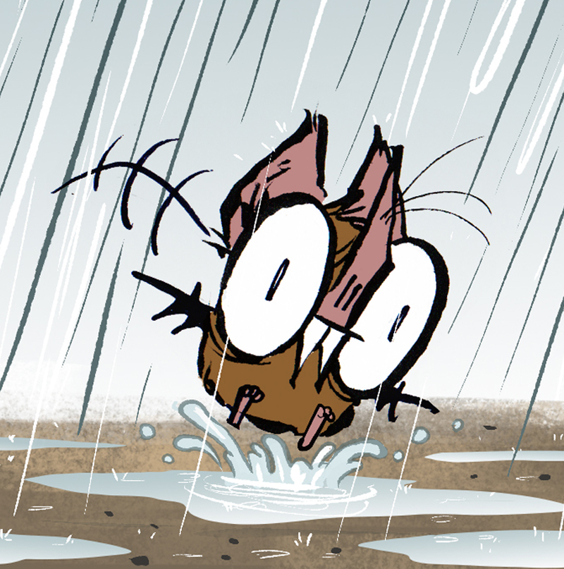 August Rain – The Big Insane Happy